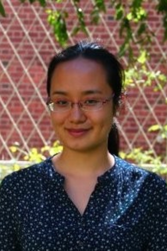 Dr. Yu Lin | Program in Physics, Engineering, and Biology (PEB)